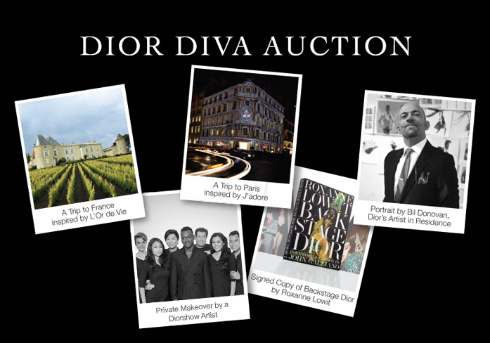 Dior Diva Auction to Benefit Look Good...Feel Better